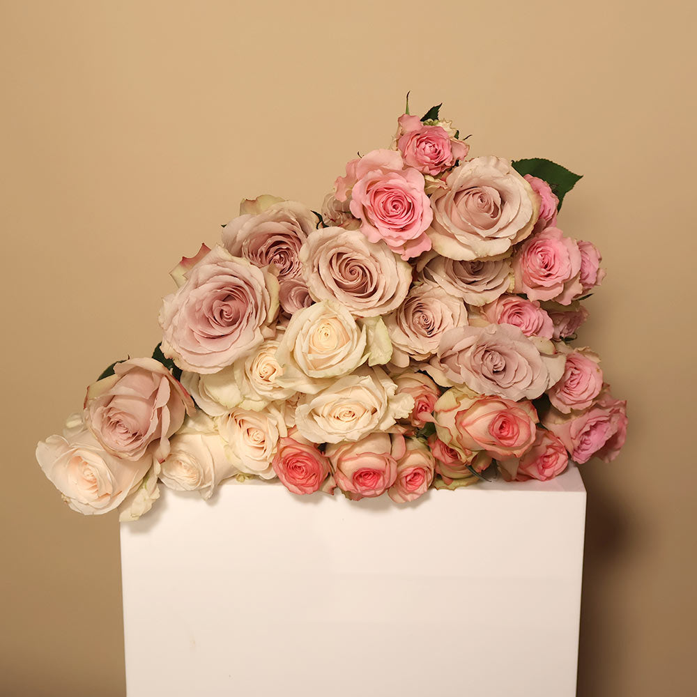 40CM Roses - Softs – Your Flower Fix